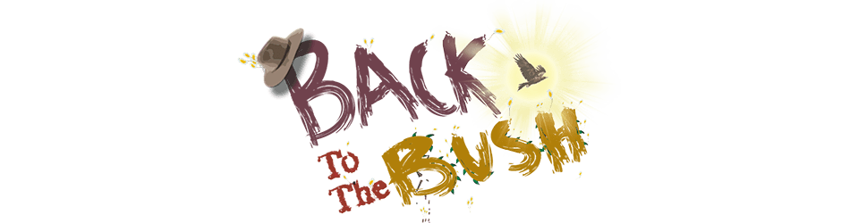 Back to the Bush Indigenous Corporation - Non-Profit Serving Australia