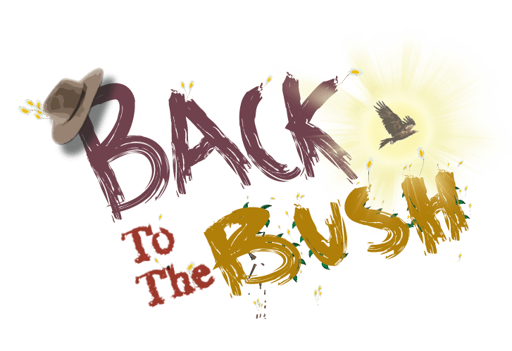Back to the Bush Indigenous Corporation - Non-Profit Serving Australia